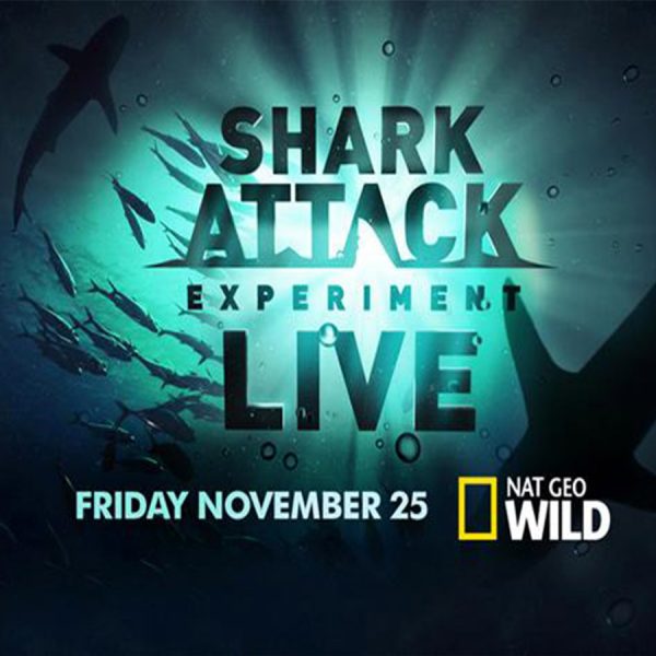 The Shark Research Unit - South Africa