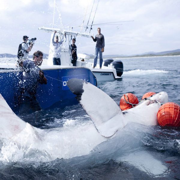 The Shark Research Unit - South Africa