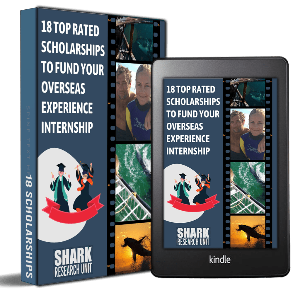 Top 10 universities to study sharks - Shark Research Unit