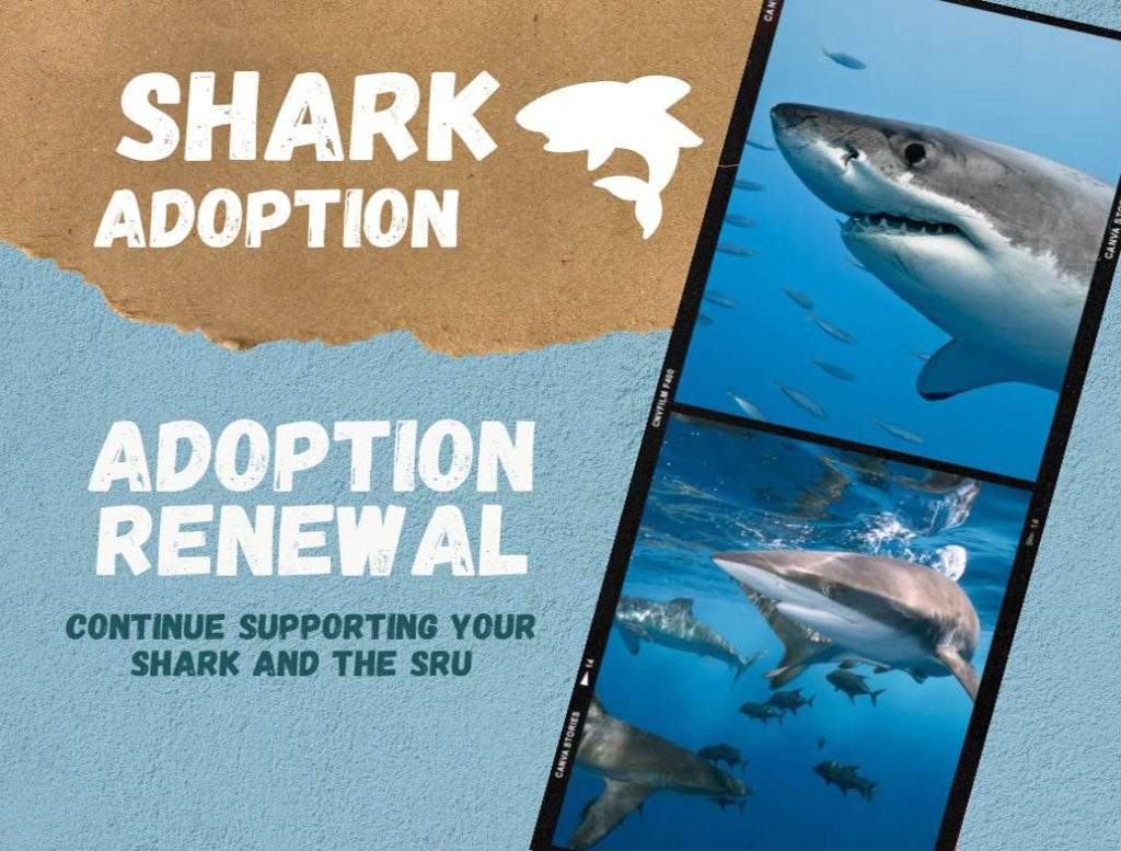 Adopt a Shark - Shark Research Unit