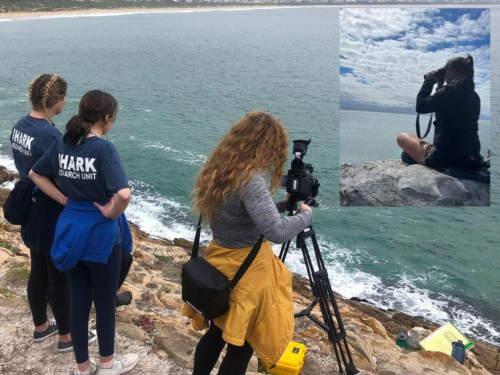 Great White Shark Research Internship Training Program - South Africa